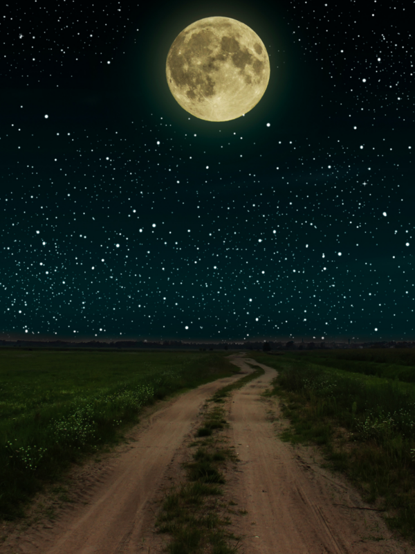 Moon Medicine - Yearlong Course - Florida School of Holistic Living
