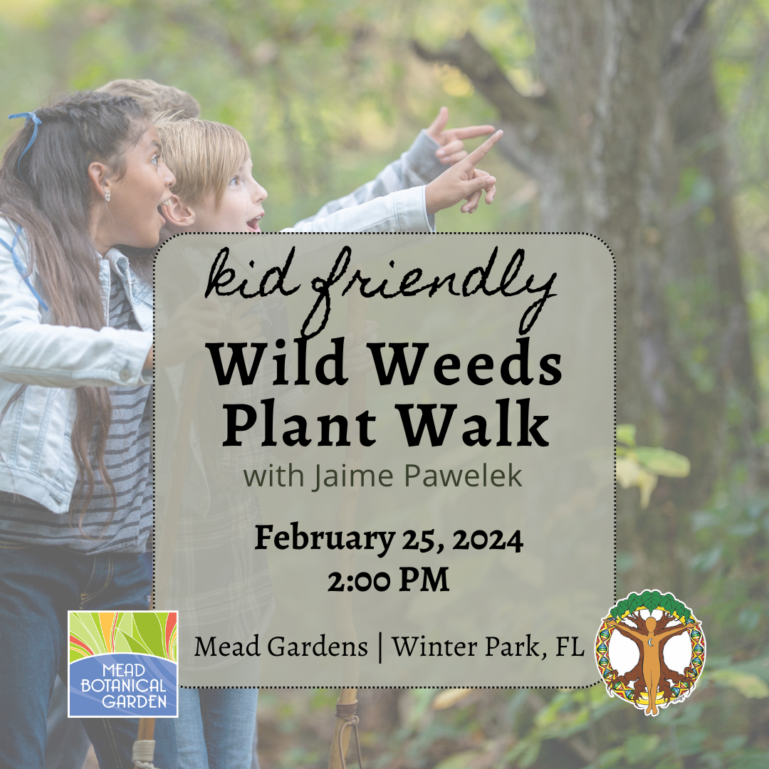 Plant Walks - Florida School of Holistic Living
