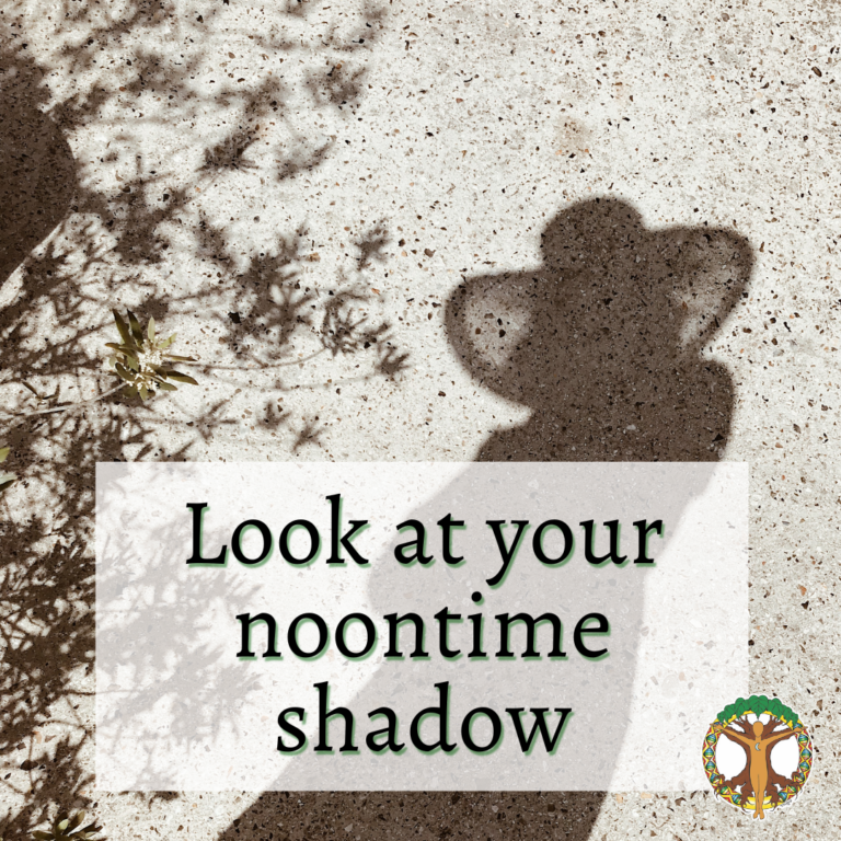 5 Ways to Honor Winter Solstice - Florida School of Holistic Living